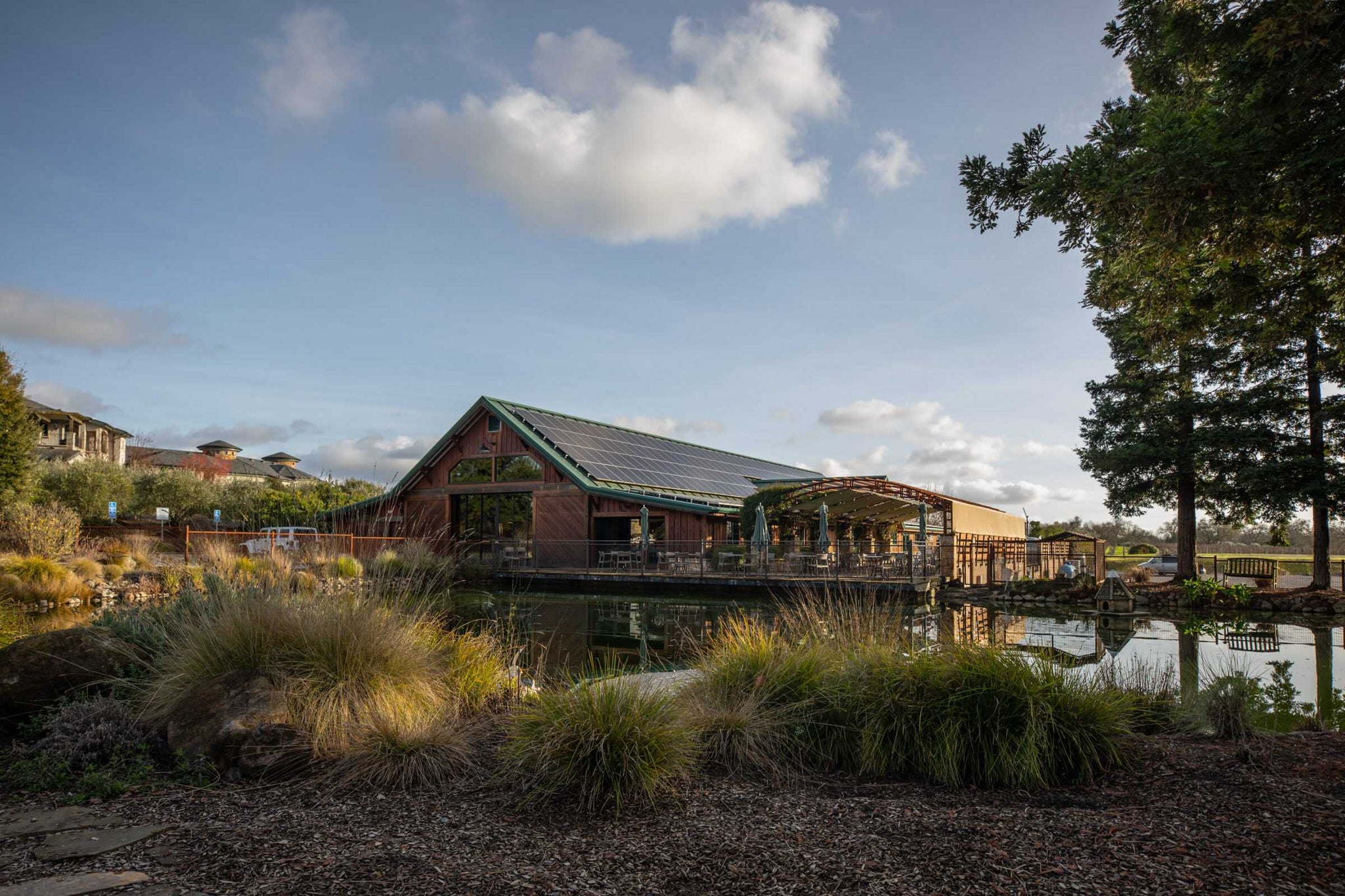Ultimate Guide to Windsor CA Wineries