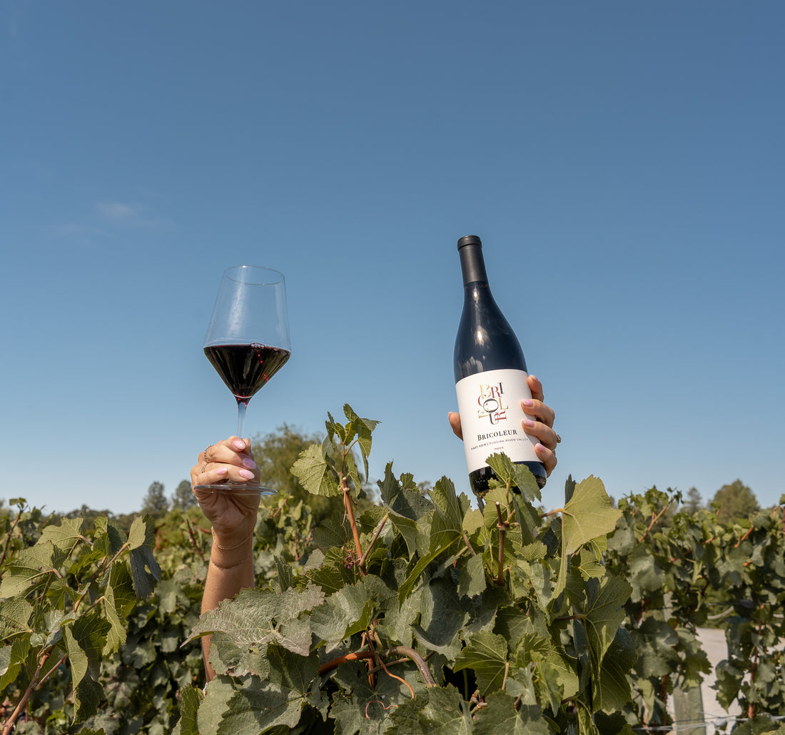 Pour + Explore: Alexander Valley, Dry Creek Valley, Russian River Vall